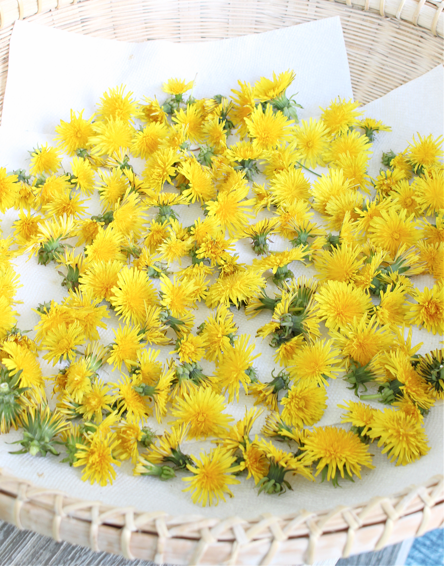 DIY Dandelion Salve (+ Dandelion Oil) | Dans le Lakehouse