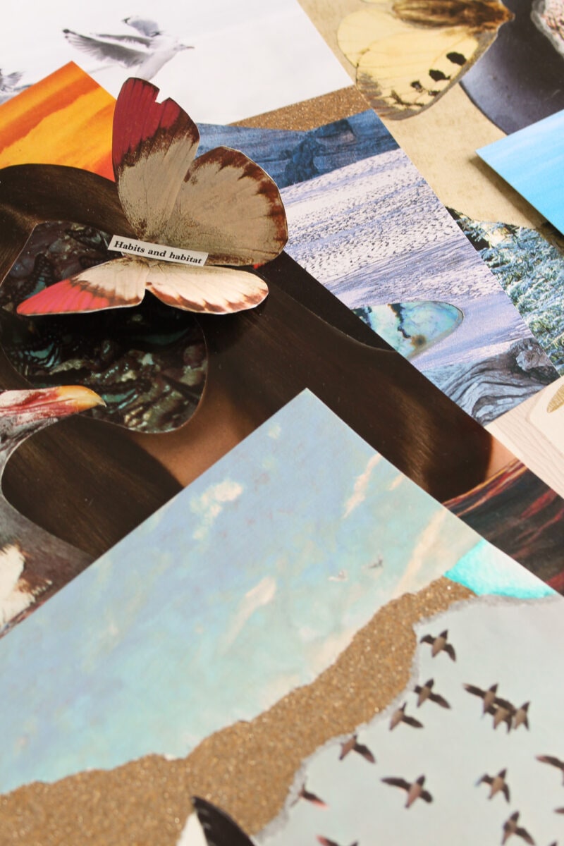 DIY Collage Art Examples + How to Collage | Dans le Lakehouse
