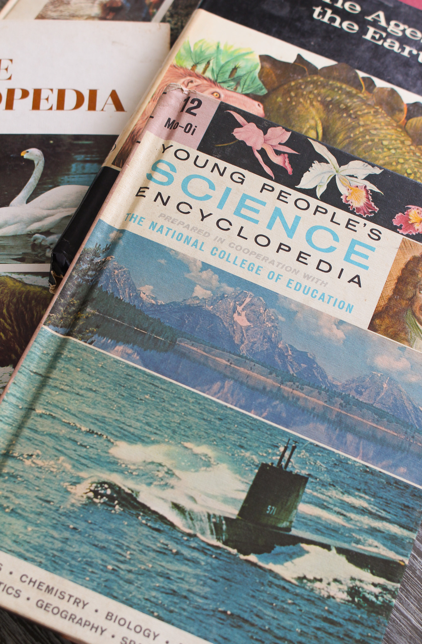 DIY Collage Art Examples + How to Collage | Dans le Lakehouse