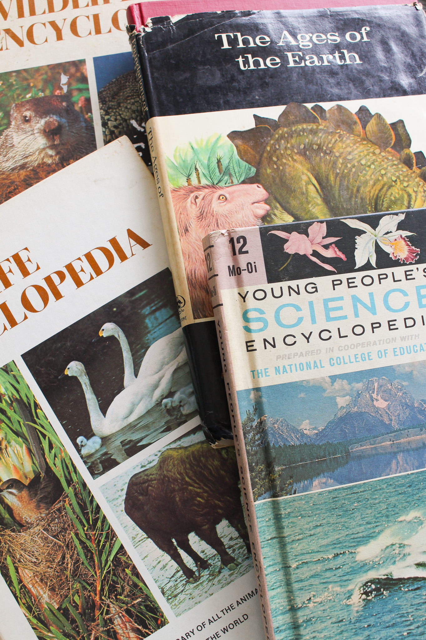 DIY Collage Art Examples + How to Collage | Dans le Lakehouse